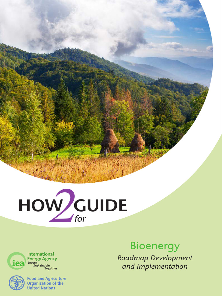 Bioenergy Roadmap Development Guide | PDF | Biofuel | Bioenergy