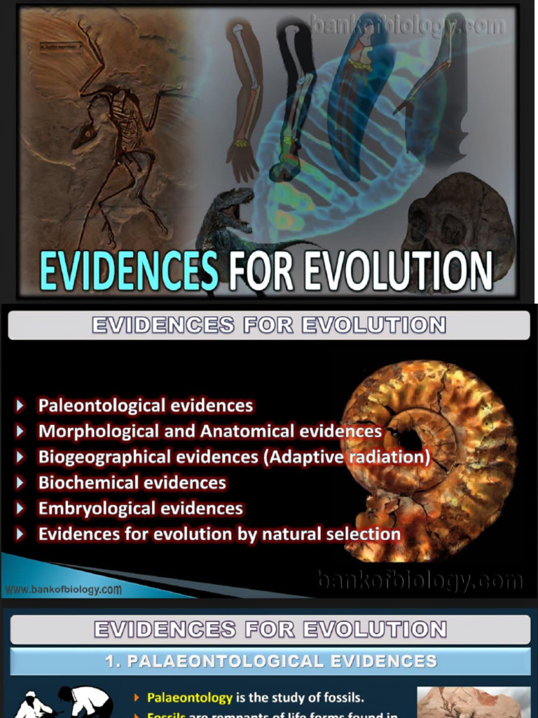 Part 2 Evidences For Evolution-1 | PDF
