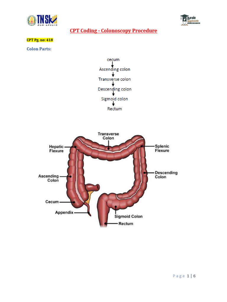 Colonoscopy - CPT Coding | PDF
