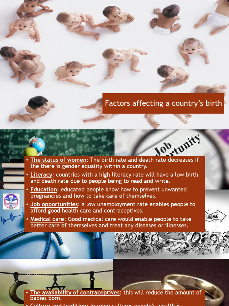 Factors Affecting A Country's Birth | PDF | Birth Rate | Birth Control