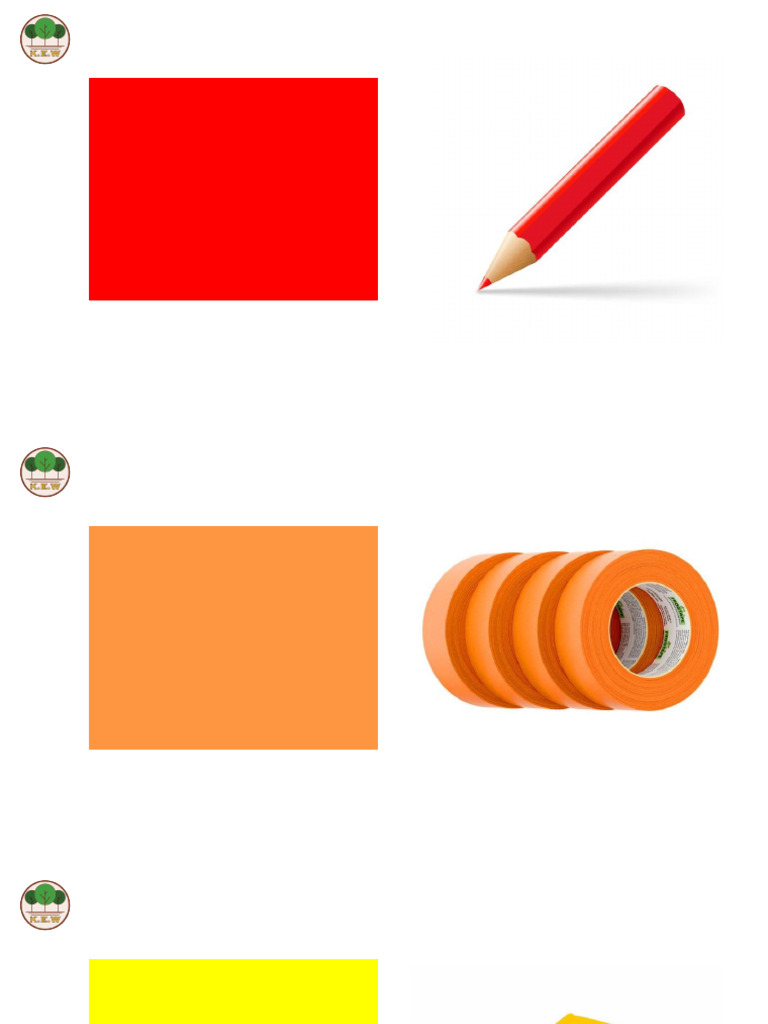 Town 2 Unit 1 Lesson 2 Color | PDF