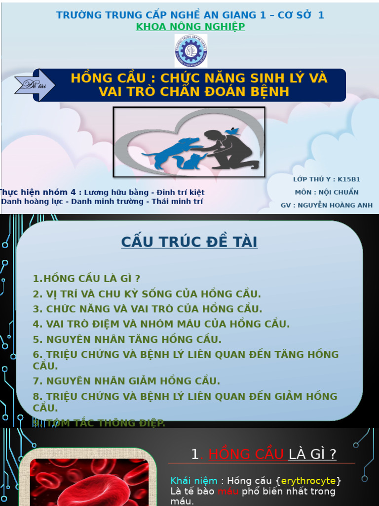Hong Cau Thu Y.... 5 | PDF