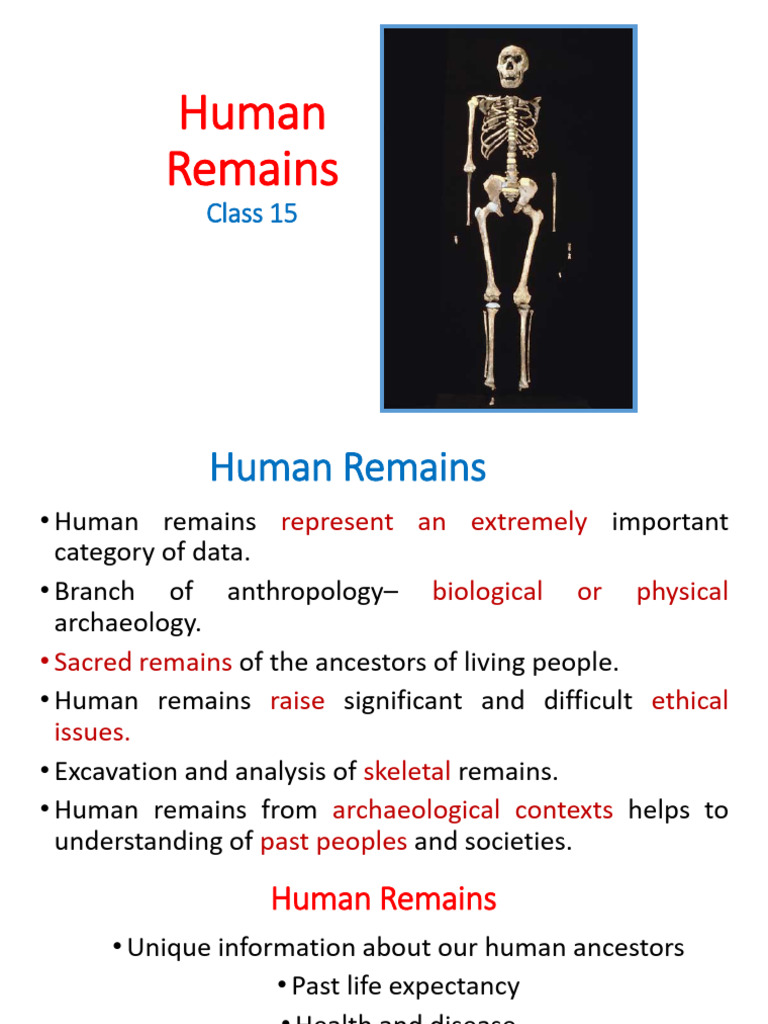 Understanding Human Remains in Anthropology | PDF