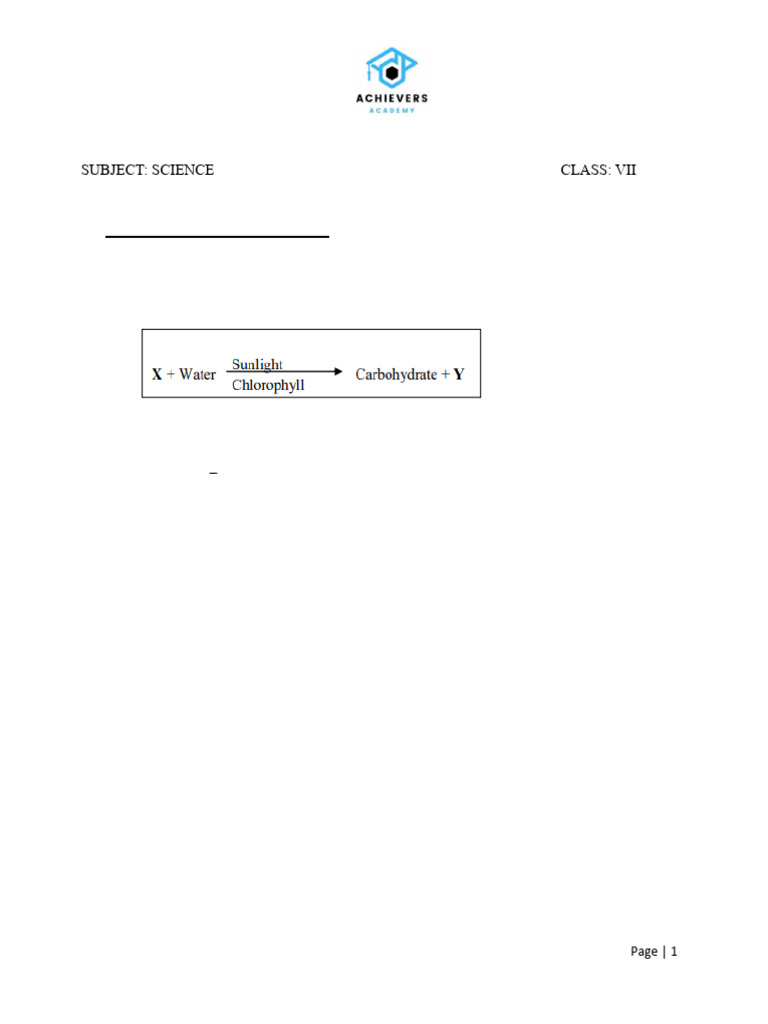 Nutrition in Plants Worksheet | PDF | Plants | Nutrition