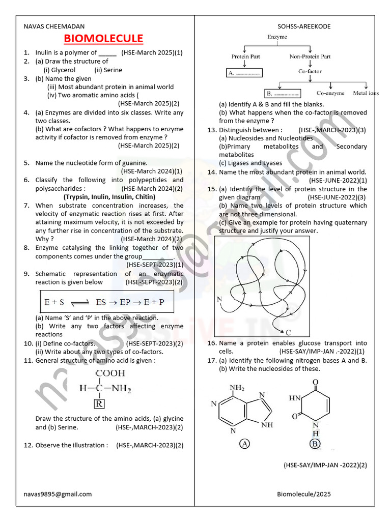 Hsslive Xi Zlgy Pyq 04 Biomolecule QP 2025 | PDF | Enzyme | Cofactor ...