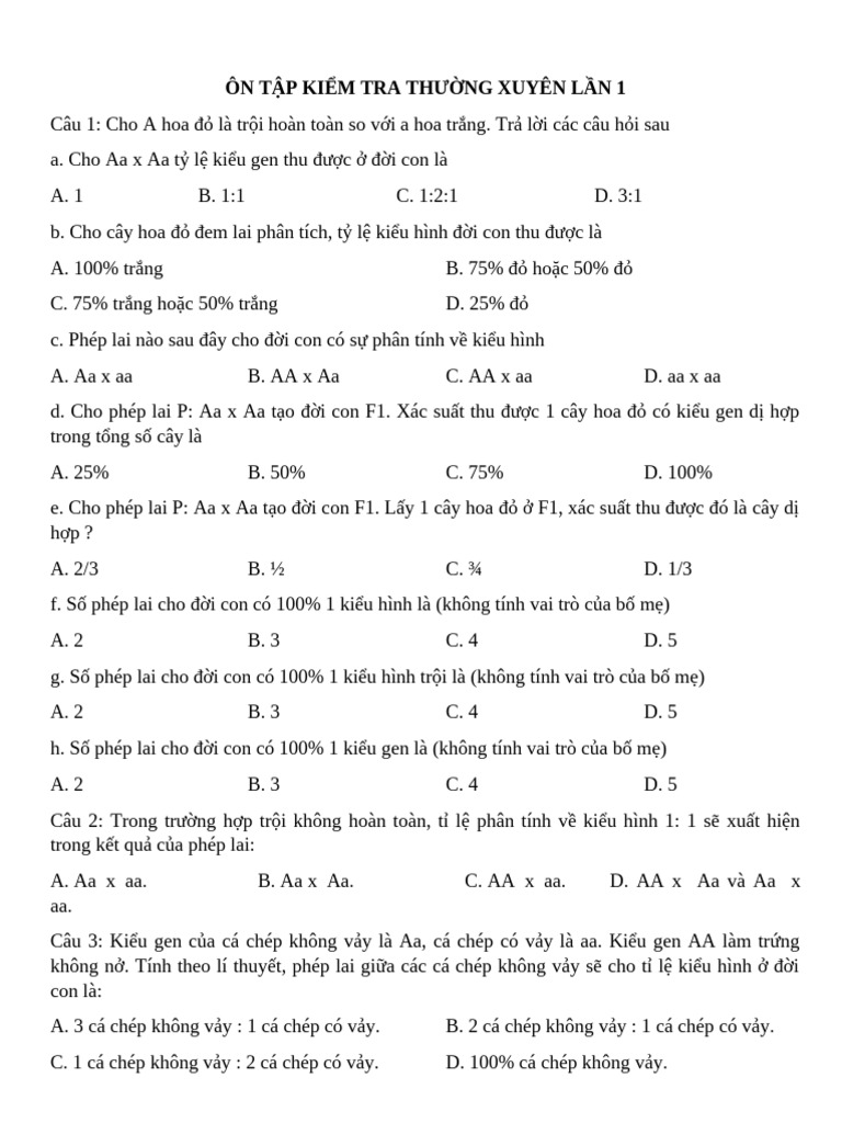 On Tap Kiem Tra 8912 1 | PDF
