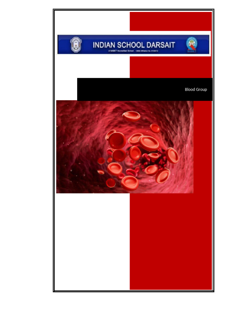 Blood Group | PDF | Blood Type | Blood