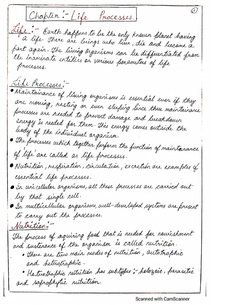 Life Process Topper Notes | PDF