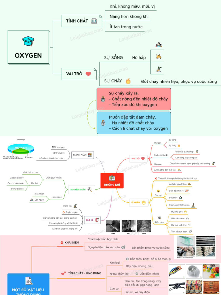 Anh So Do Tu Duy Bai 9 KHTN 6 CTST | PDF