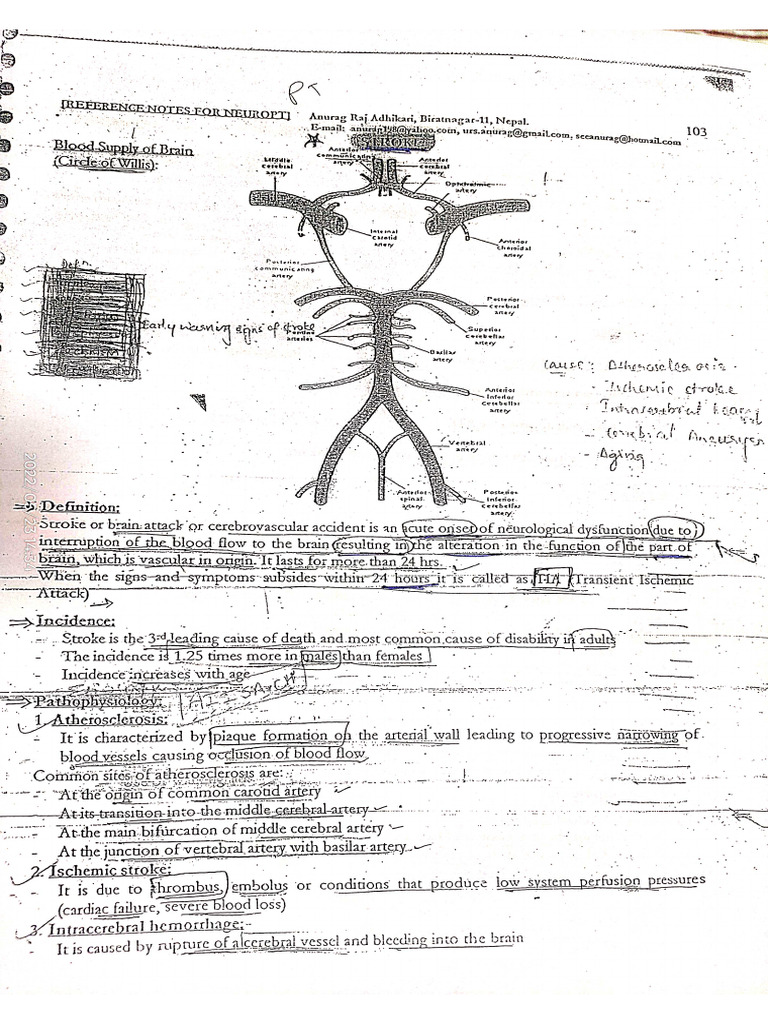 Stroke 1 | PDF