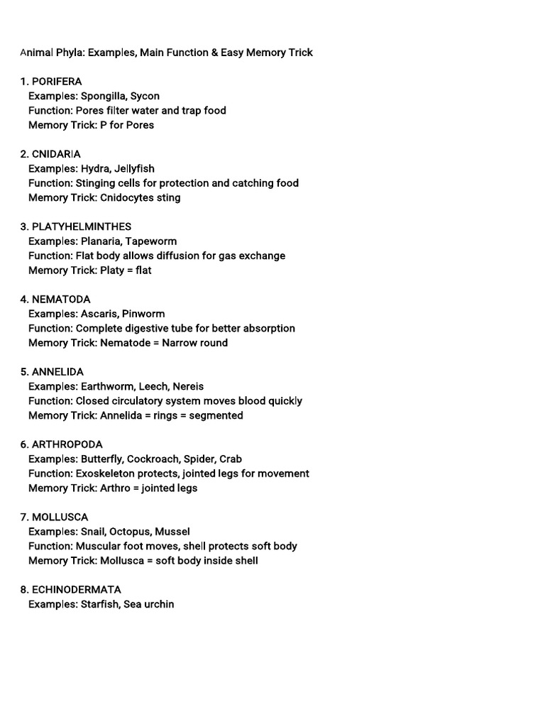 Animal Phyla - E-WPS Office | PDF | Cellular Respiration | Eukaryotes