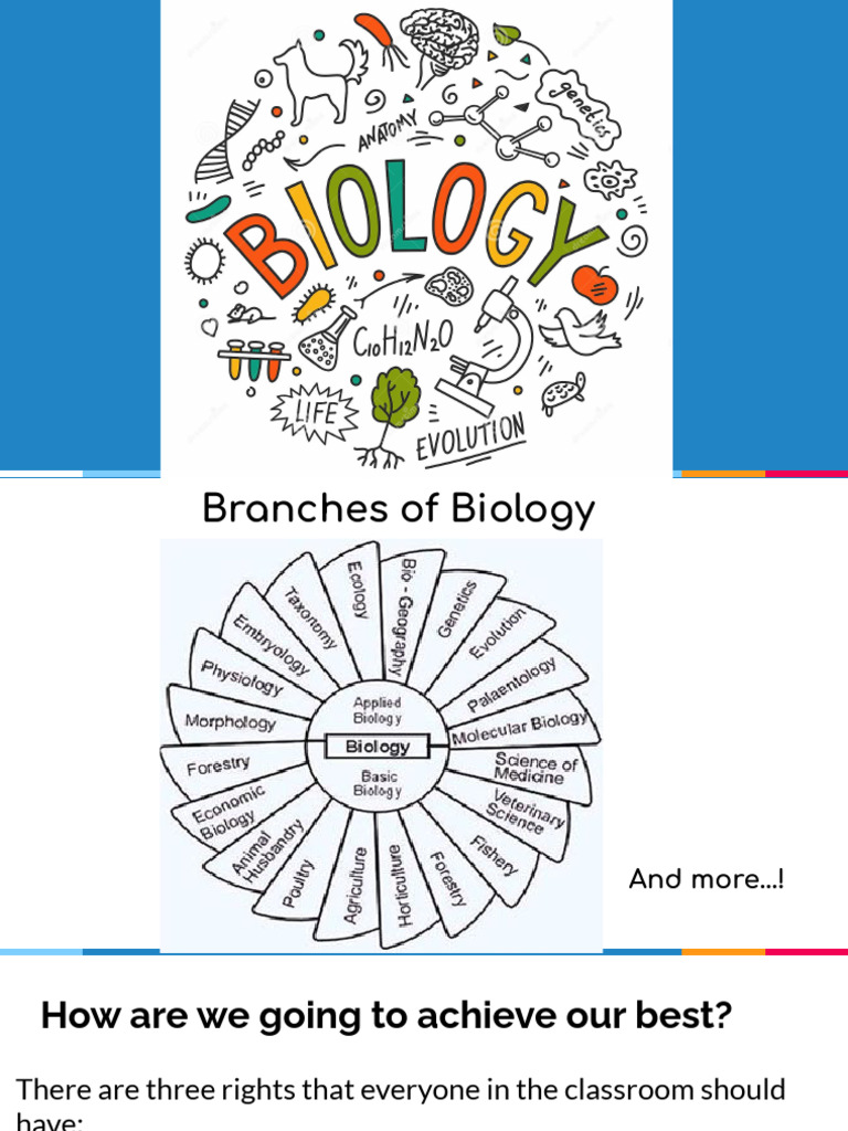 PP INTRO STEP UP - Year 10 Biology - Prokaryotic & Eukaryotic Cells ...