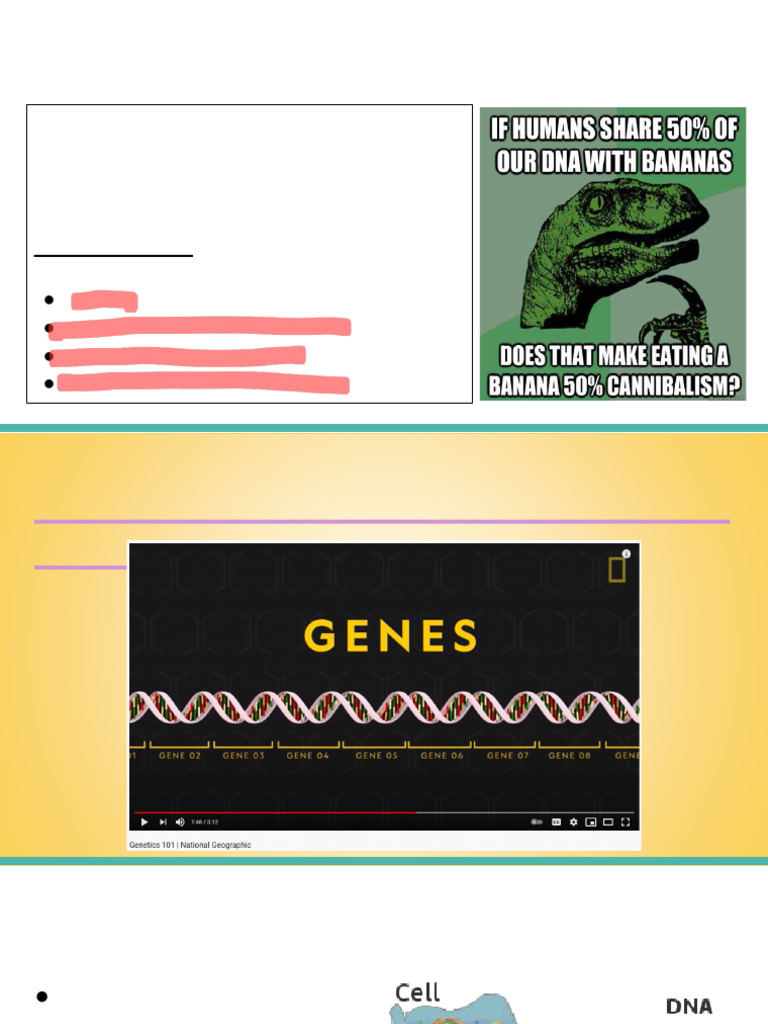 Annotated DNA Genes and Chromosomes - 250721 - 145416 | PDF | Dna | Gene