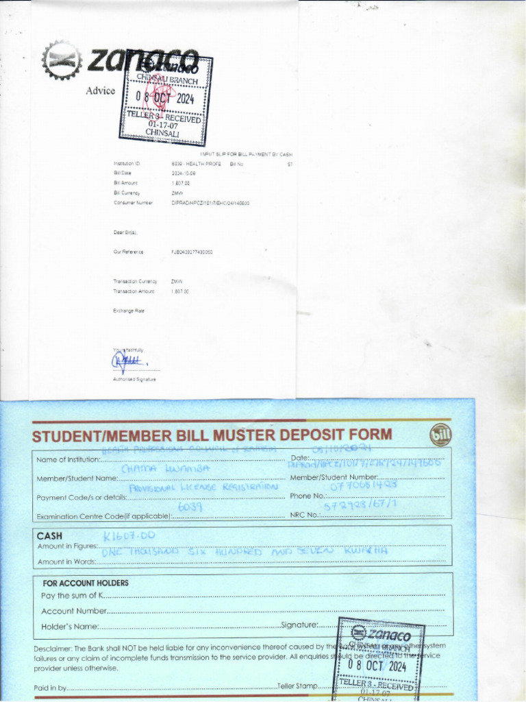 Chama Lwamba 2024 License and Provisional Receipt - 105808 | PDF