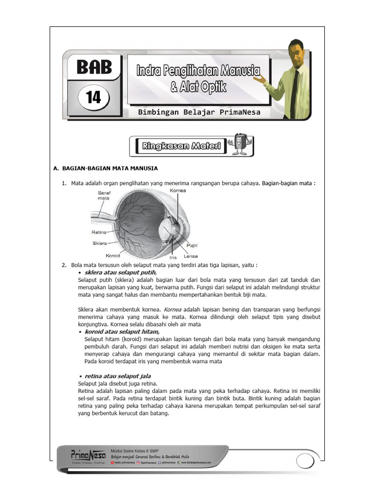 Ipa Bab 14 Rangkuman Indra Penglihatan Manusia & Alat Optik | PDF