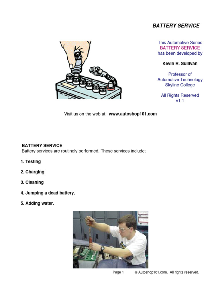 Essential Battery Service Guide | PDF | Battery Charger | Electrical ...
