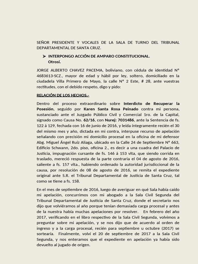 Acción de Amparo Constitucional | PDF | Debido al proceso | Ley procesal