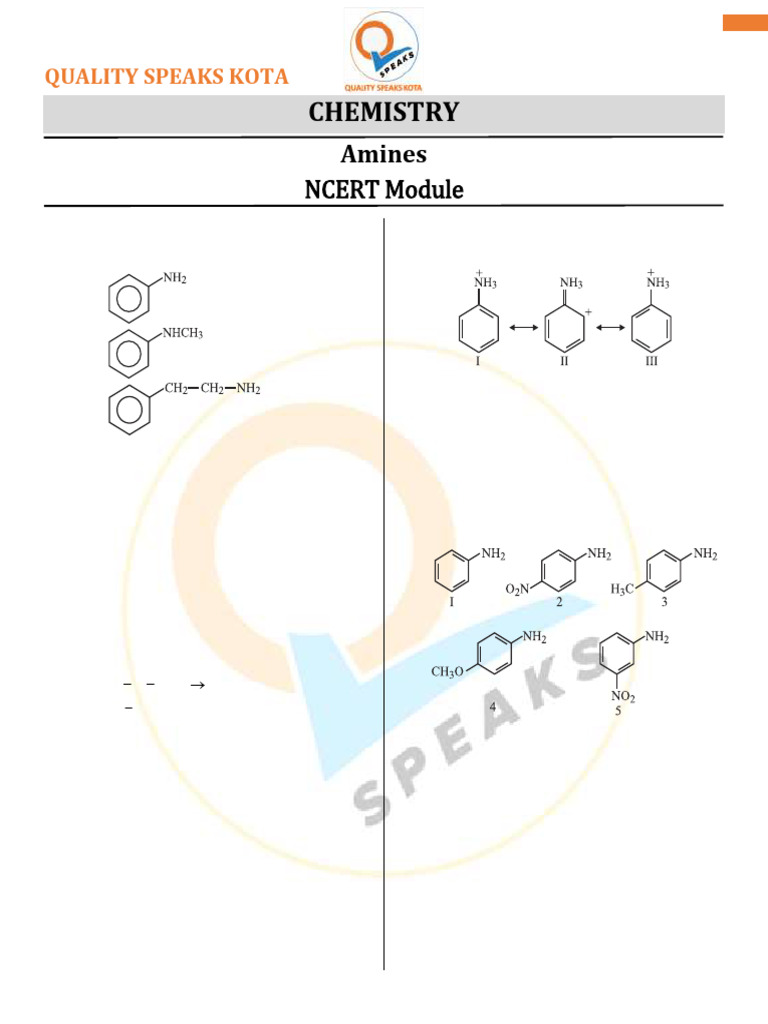 Amines | PDF | Amine | Functional Group