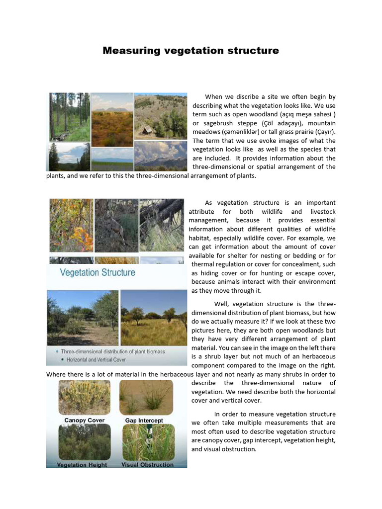Vegetation Structure | PDF | Ecology