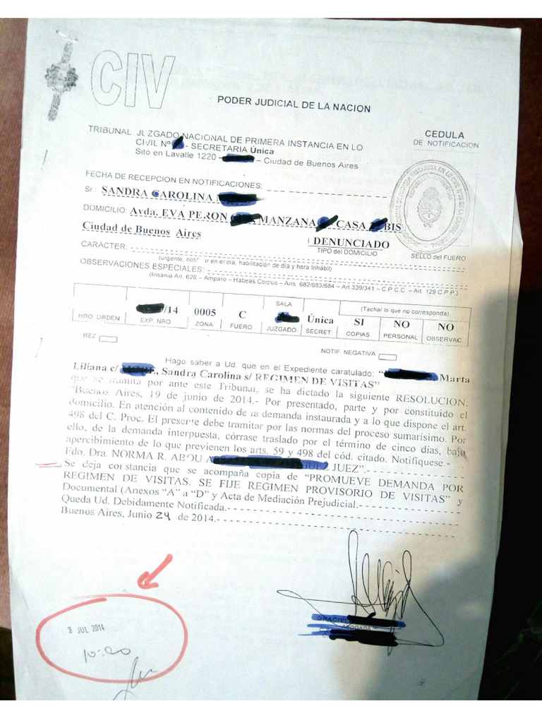 Cedula Papel Practico 2025 | PDF