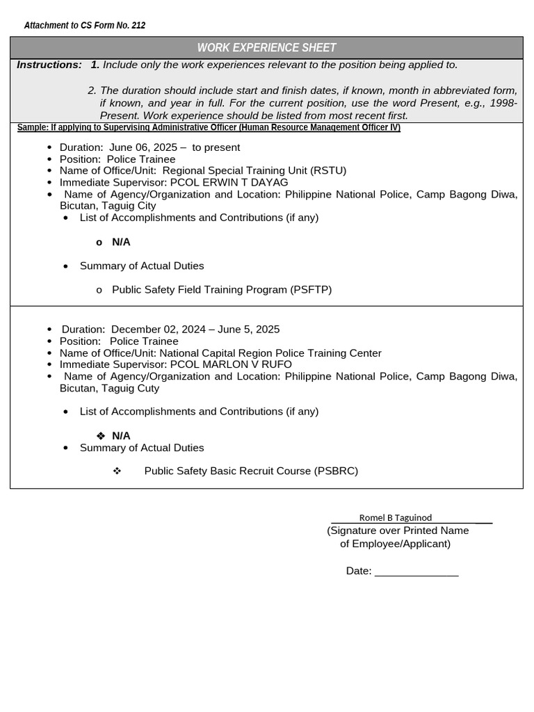 Work Experience Sheet Template | PDF