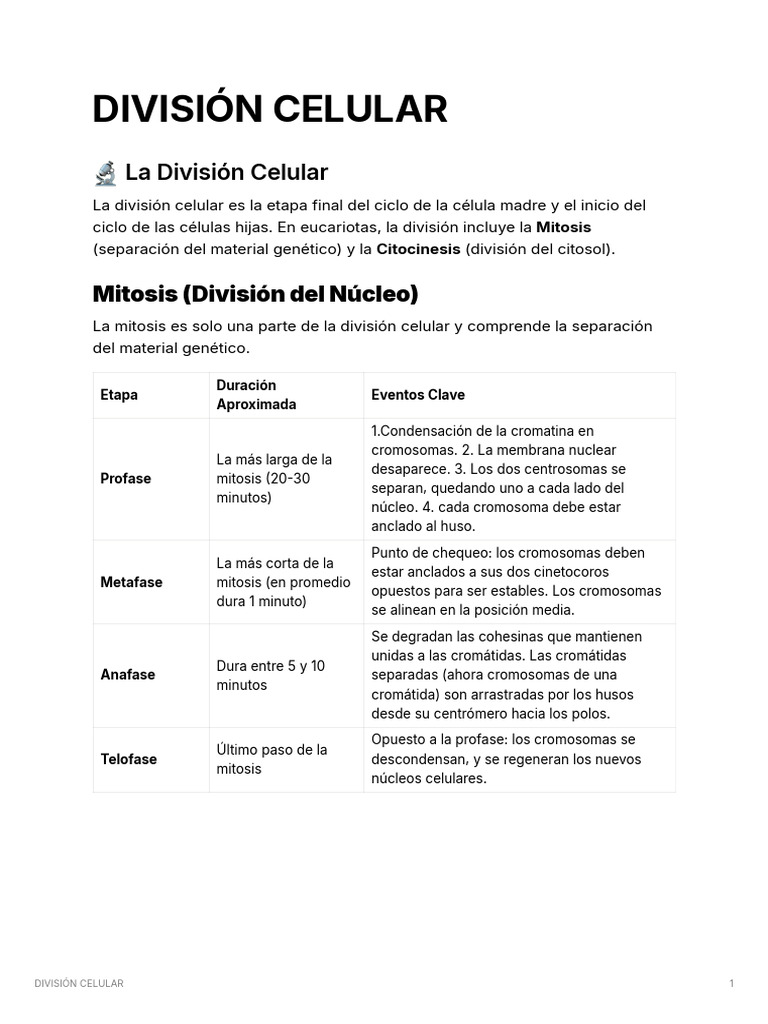 División Celular | PDF | Mitosis | Procesos celulares