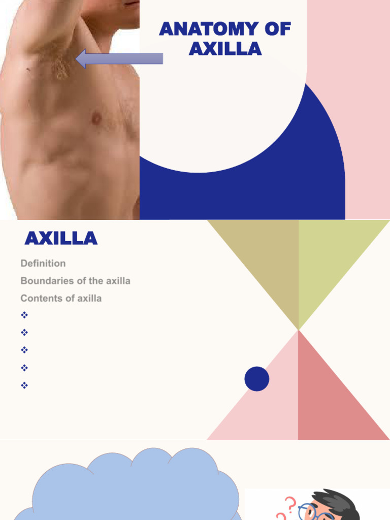 Bounderies of Axilla | PDF | Musculoskeletal System | Limbs (Anatomy)