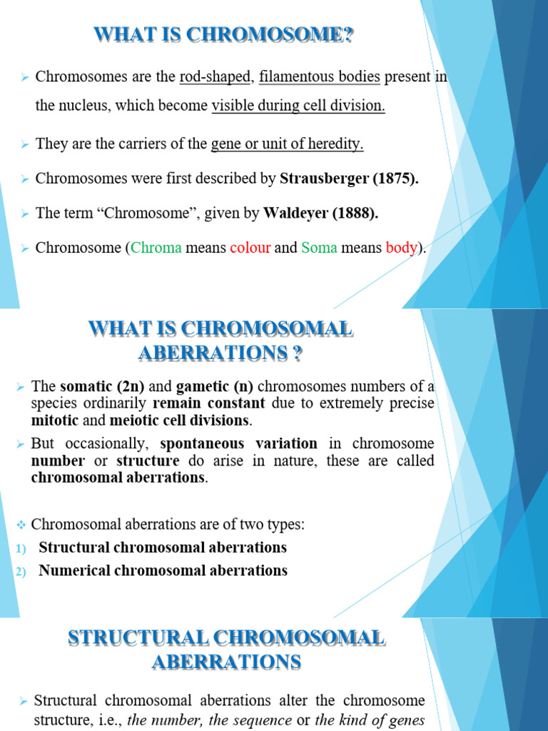 Bio 402 Lecture - 2024-2025 Session | PDF | Ploidy | Dominance (Genetics)