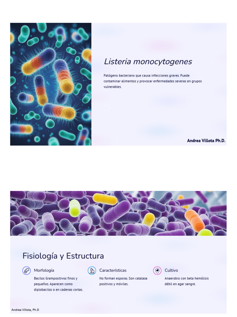 Listeria Monocytogenes | PDF | Enfermedades y trastornos | Microbiología