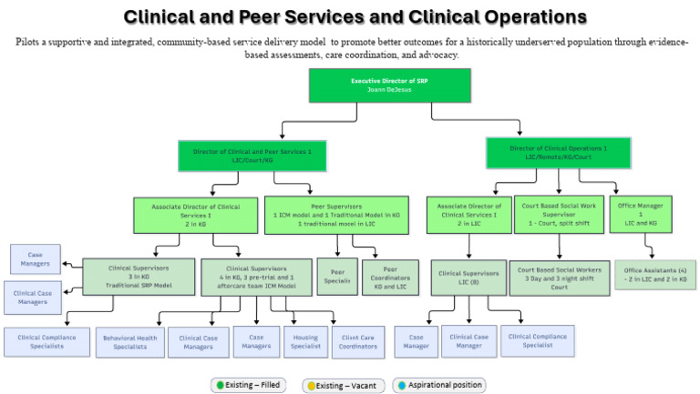 Clinical and Peer Services and Clinical Operations | PDF