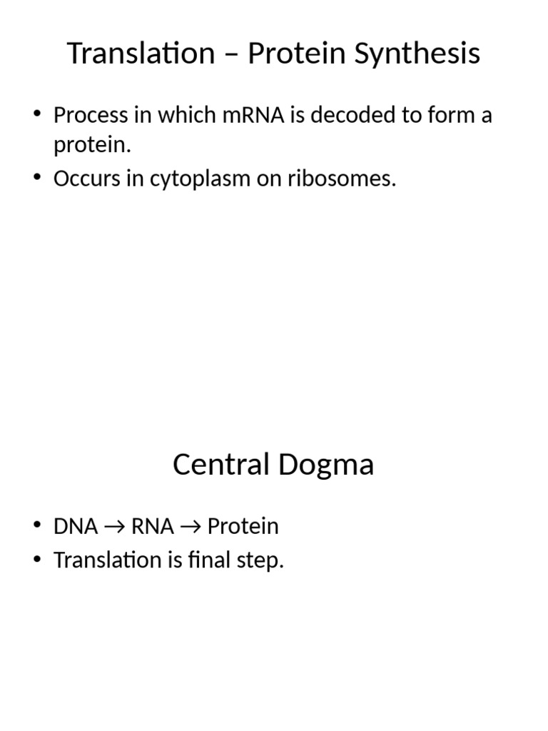 Detailed Translation PPT English With Notes | PDF