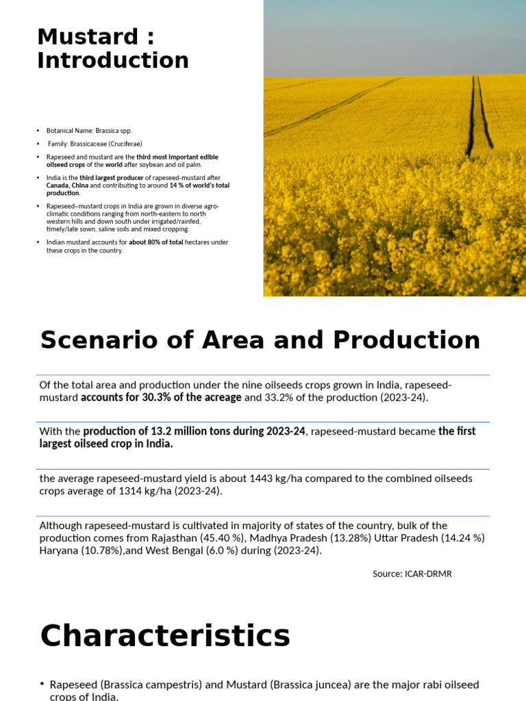 Mustard PPT Final | PDF | Rapeseed | Vegetables