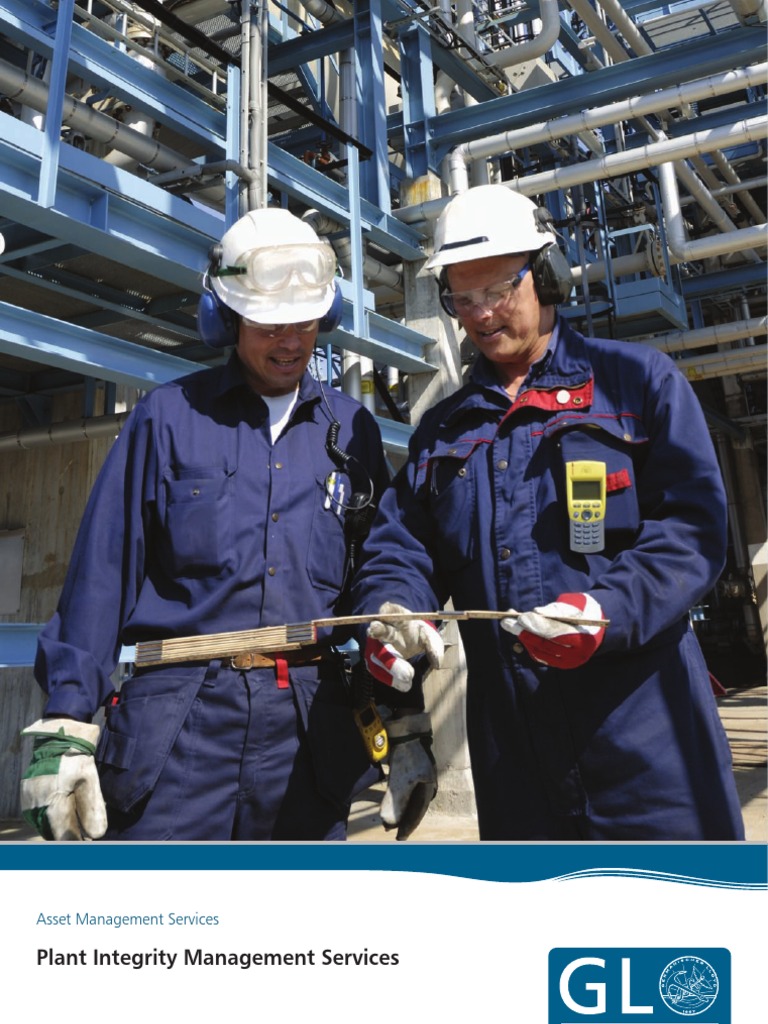 13.plant Integrity Management Services External | PDF | Fracture ...