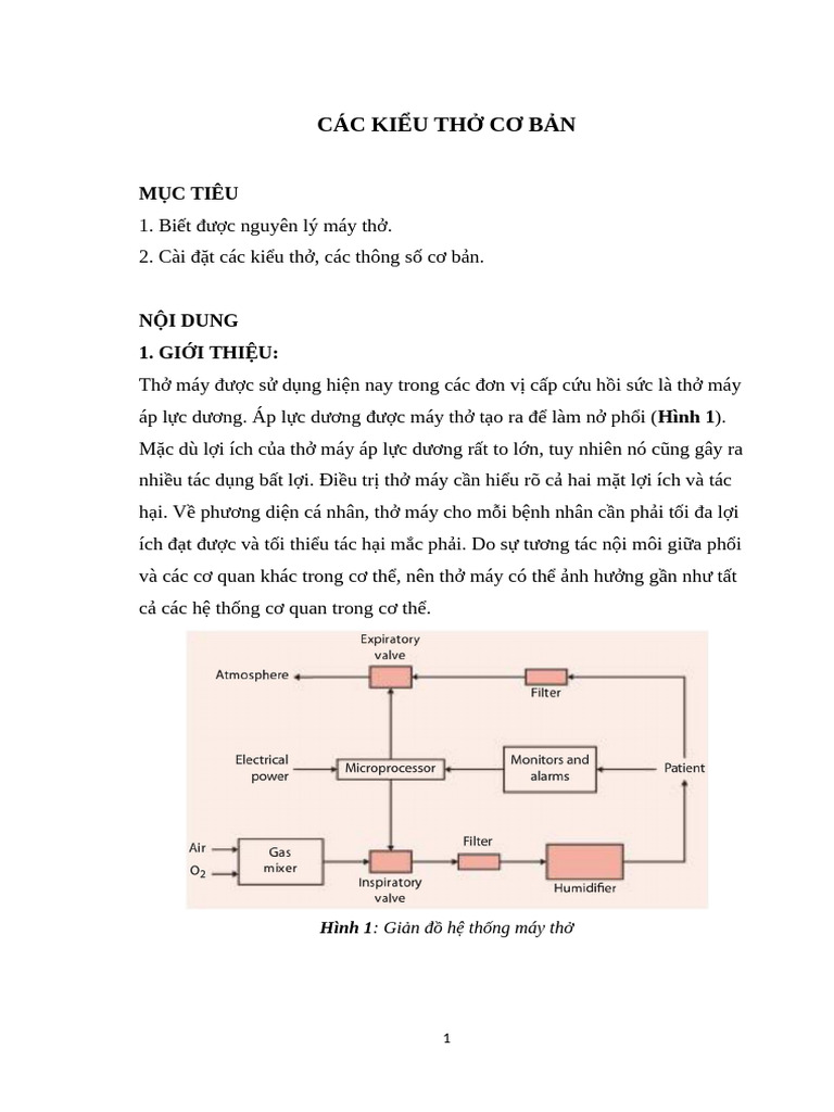 6 Cac Kieu Tho Co Ban | PDF