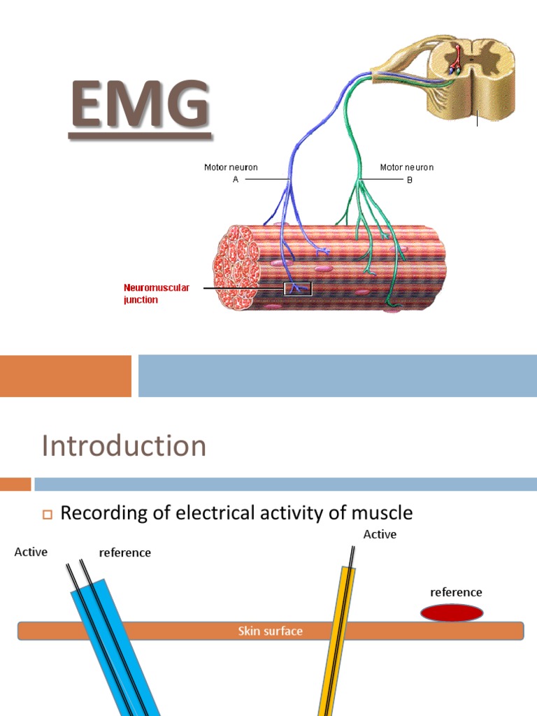 EMG | Neuromuscular Junction | Action Potential