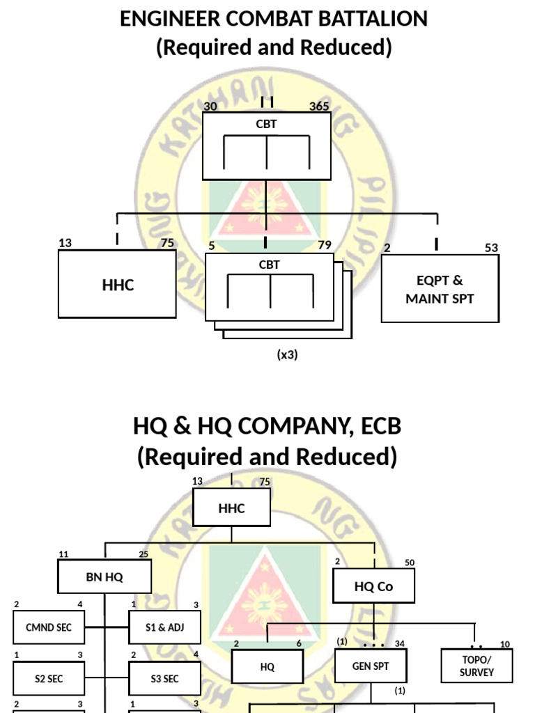 Engineer Combat Battalion Structure Overview | PDF