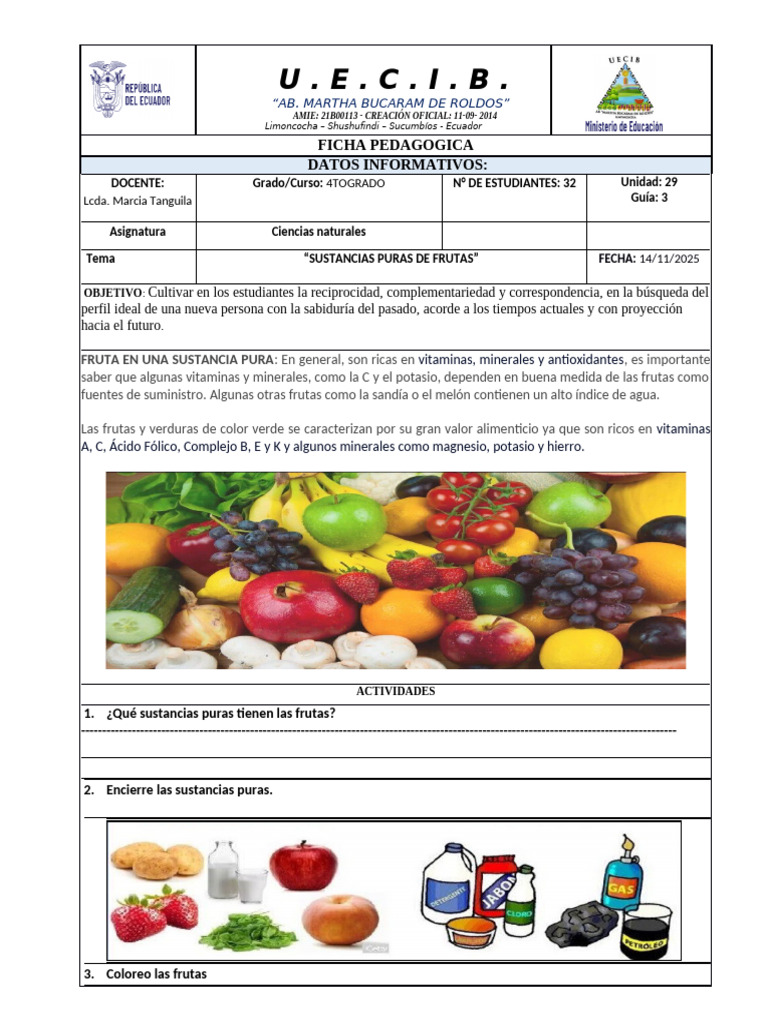 Ficha Pedagogica de 4to Grado | PDF | Fruta