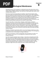 Beetroot Membrane Permeability Experiment | PDF | Osmosis | Vacuole