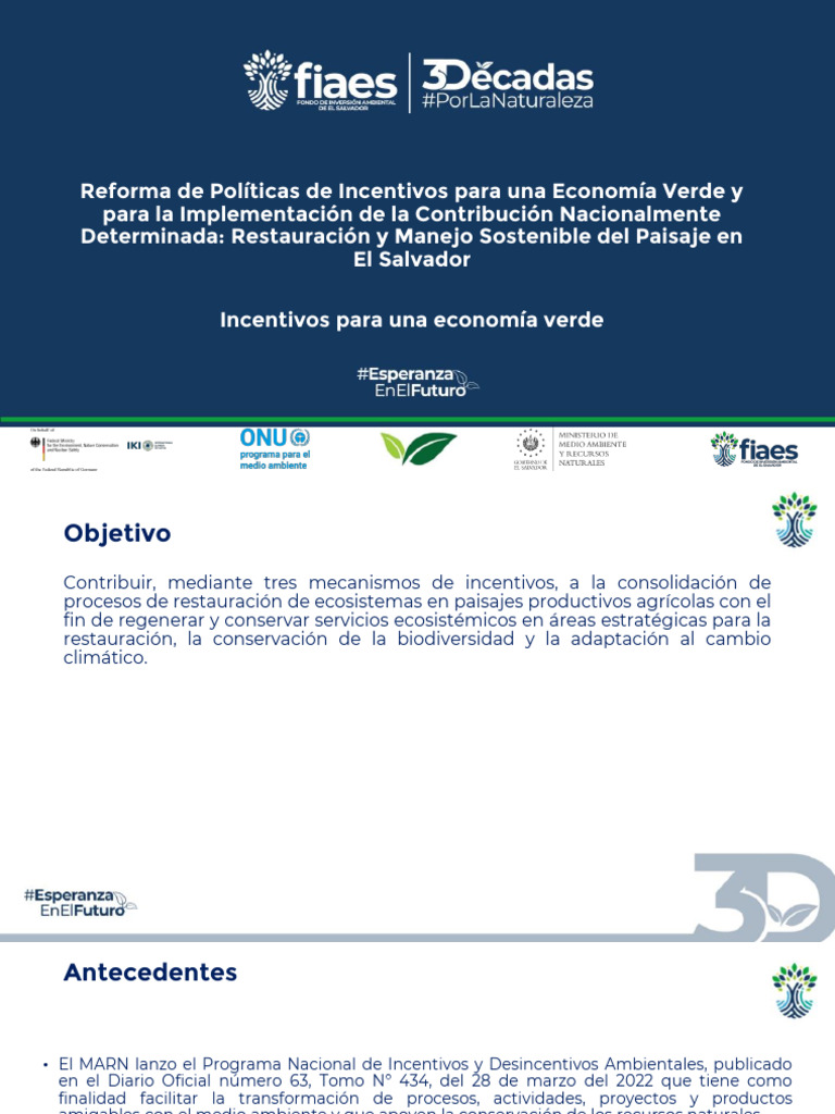 Incentivos Ambientales Fiaes | PDF | Sustentabilidad | Entorno natural