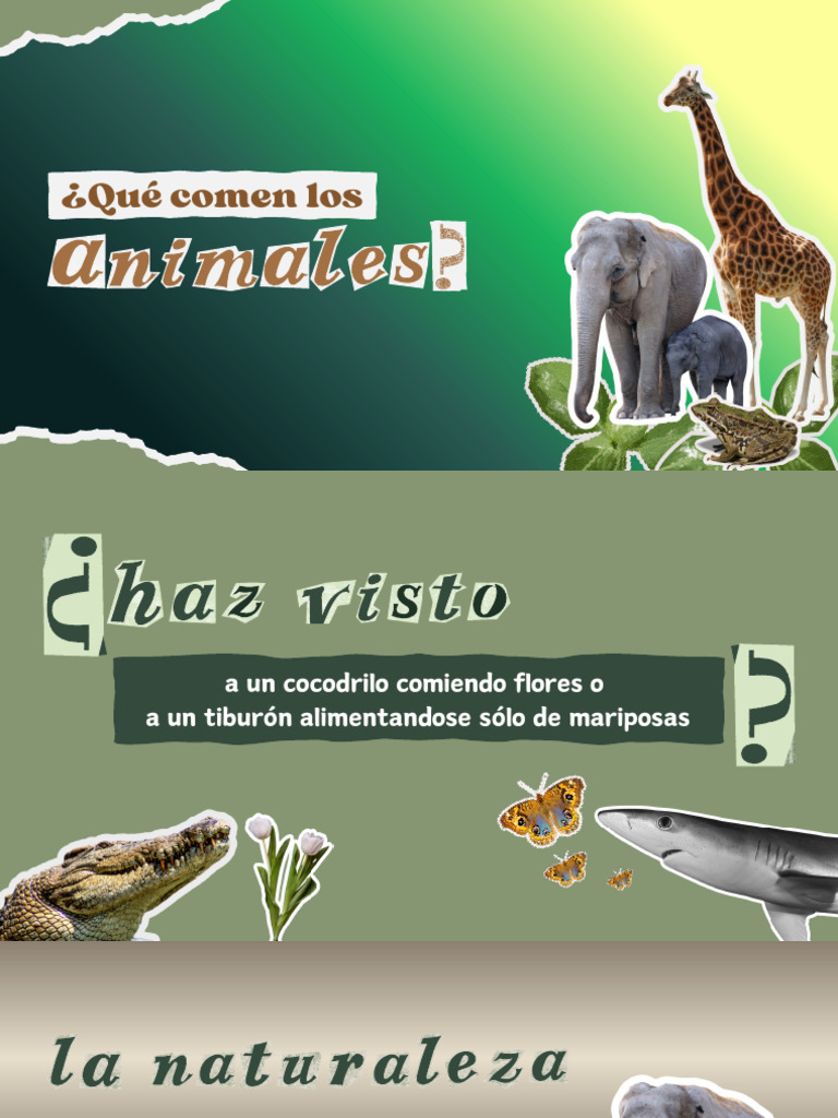 Presentación Educativa Sobre Que Comen Los Animales Ilustrativa Verde y ...