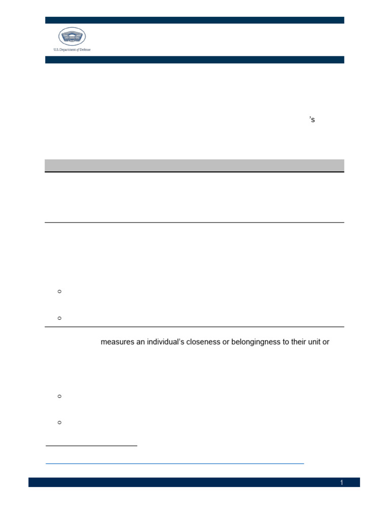 2025 DEOCS Survey Questions Overview | PDF | Race And Ethnicity In The ...