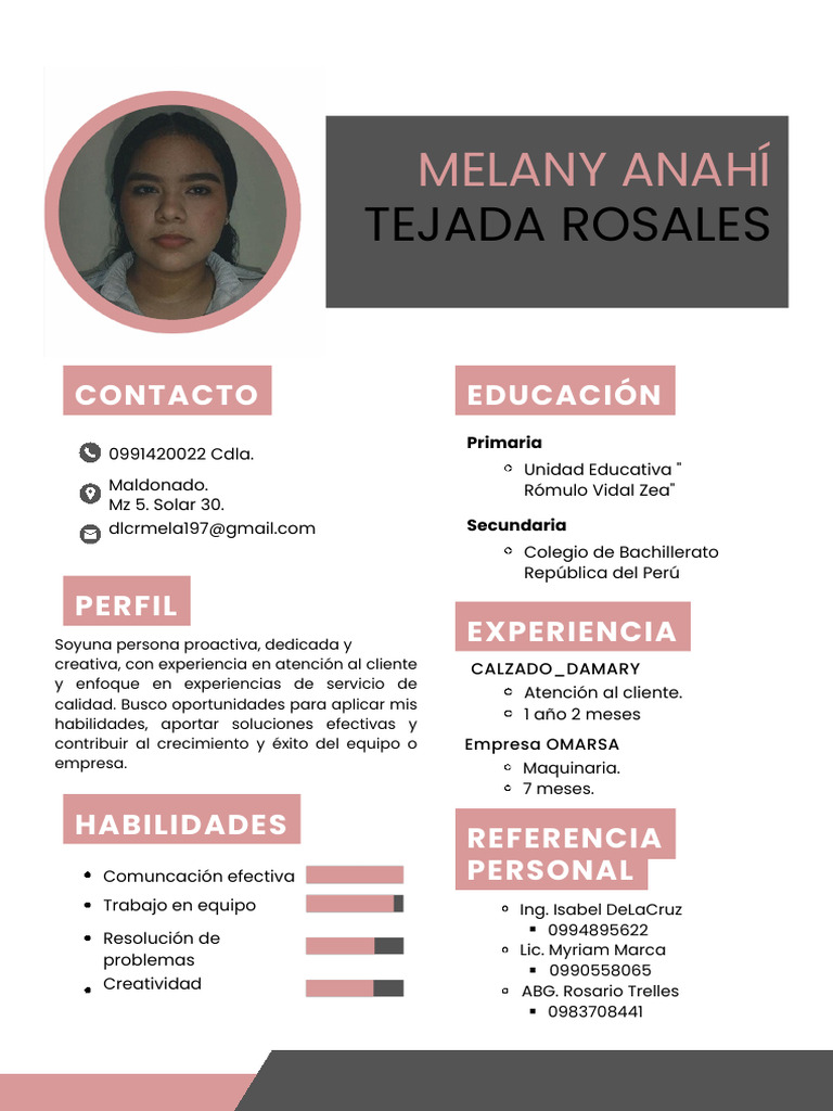 Documento A4 Hoja de Vida Moderno Gris y Rosa.pdf_20251123_221102_0000 | PDF