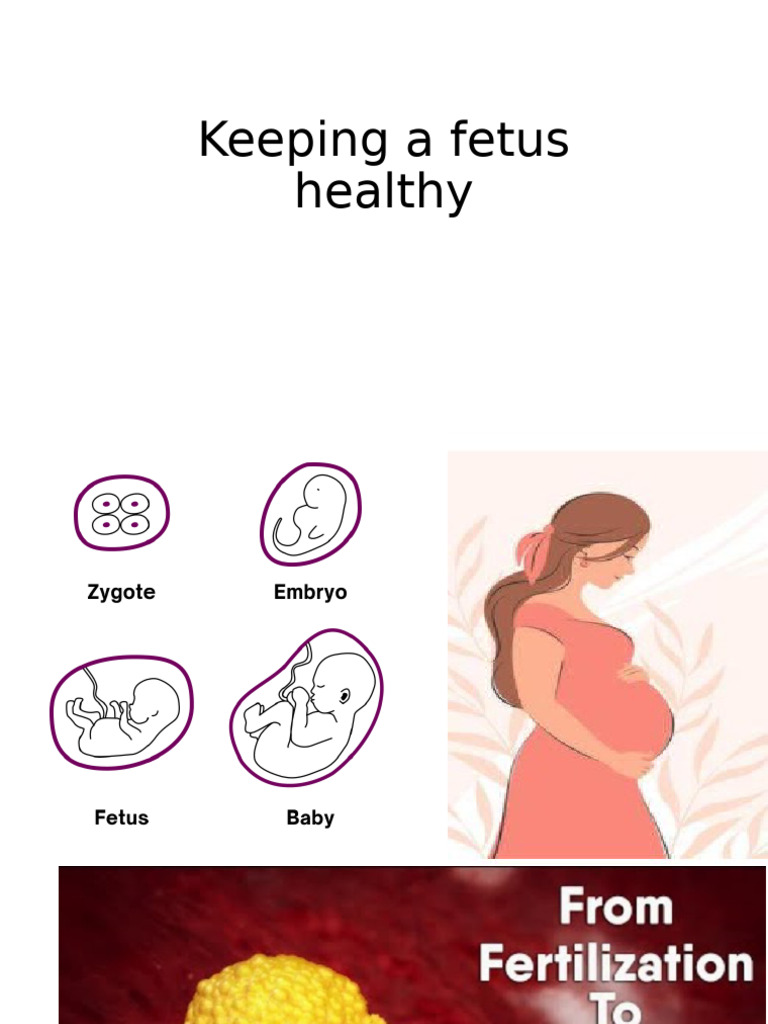 Keeping A Fetus Healthy | PDF