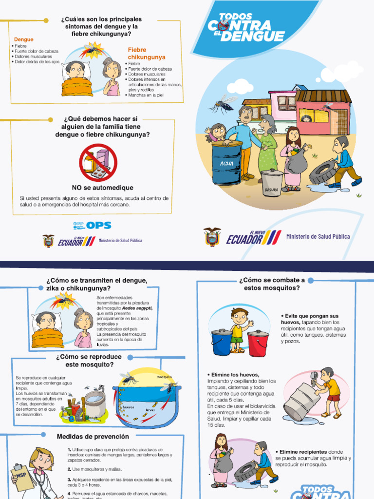 Dip Tico Dengue 2024 | PDF