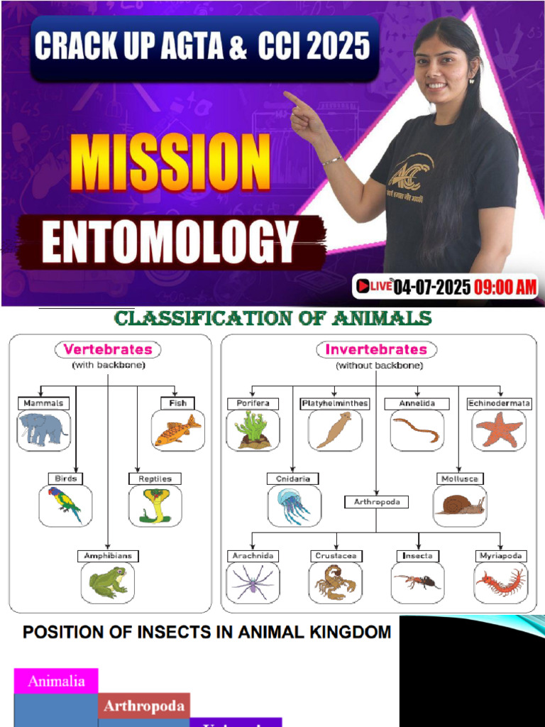 1 Basic Entomology | PDF