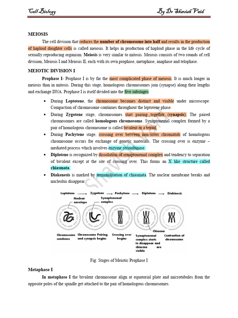 Cell Meiosis Division | PDF | Meiosis | Mitosis