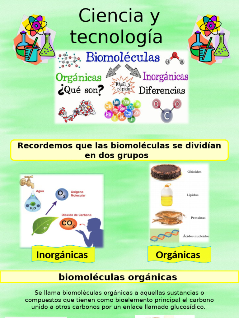 Bioelementos Organicos | PDF