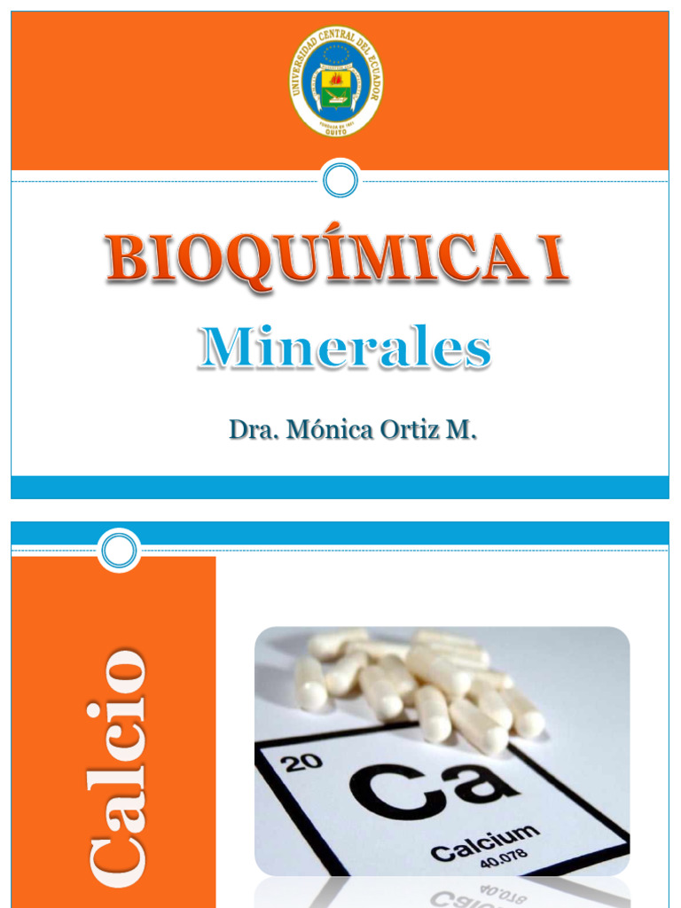 1. PRINCIPIOS DE LA NUTRICIÓN_MINERALES | PDF | Calcio | Glutatión