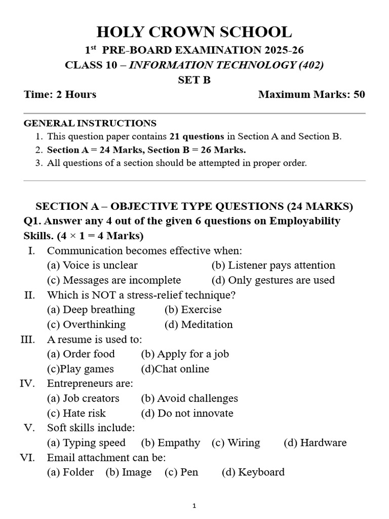 CLASS 10 IT Set B | PDF | Computing | Software