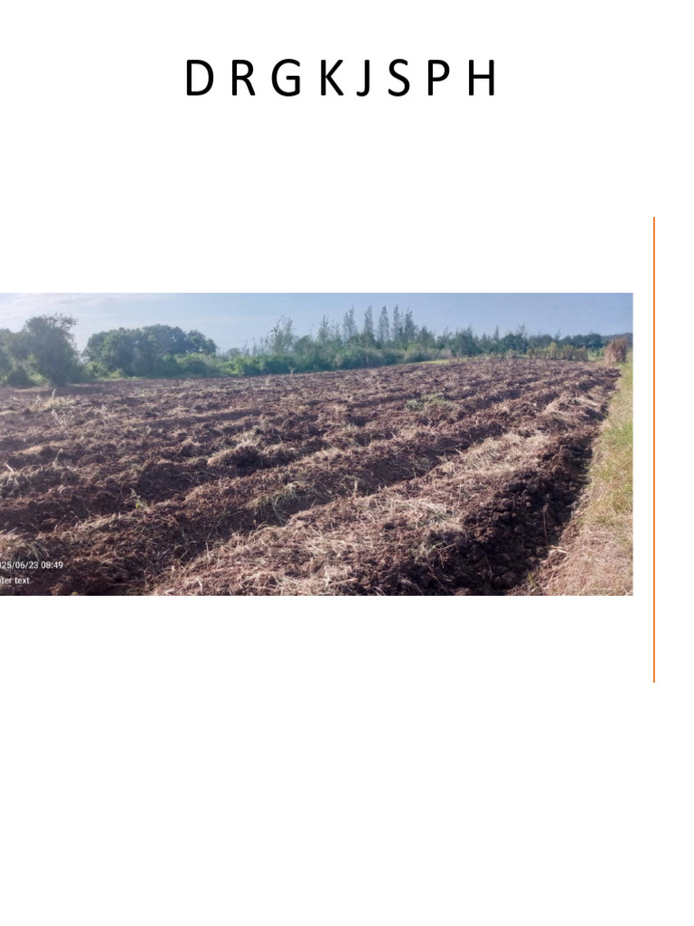 Watermelon Crop Growing Guide | PDF